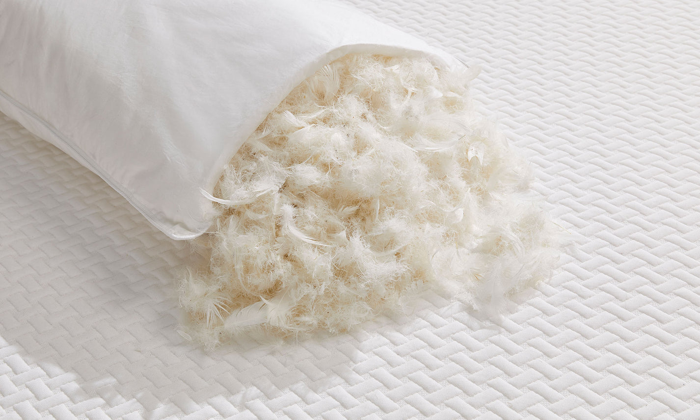 Opera® Duck Down and Feather Pillow – Opera Beds